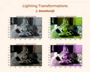 Guide to Image Augmentation: from Beginners to Advanced | DataMonje