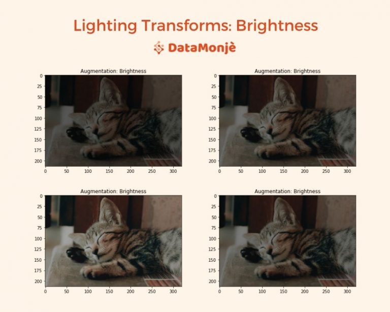 Guide to Image Augmentation: from Beginners to Advanced | DataMonje