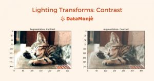 Guide to Image Augmentation: from Beginners to Advanced | DataMonje