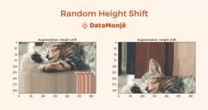 Guide to Image Augmentation: from Beginners to Advanced | DataMonje