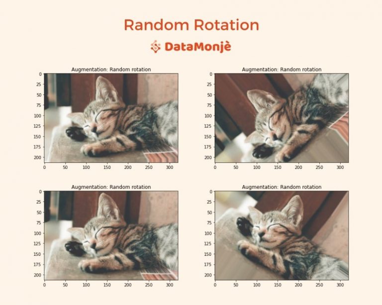 Guide to Image Augmentation: from Beginners to Advanced | DataMonje Guide to Image Augmentation: from Beginners to Advanced | DataMonje